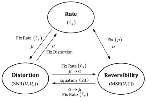 Illustration Of Rate Distortion Reversibility Tradeoff Download