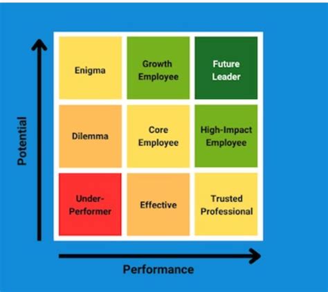 What Is A 9 Box Grid Performance And Potential Tool