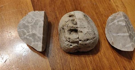 What Is This These Stones Are Relatively Common In Southeastern Wi It