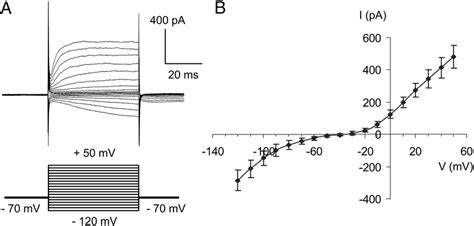 Rod Responses To Voltage Steps A Current Responses To Voltage Steps Download Scientific
