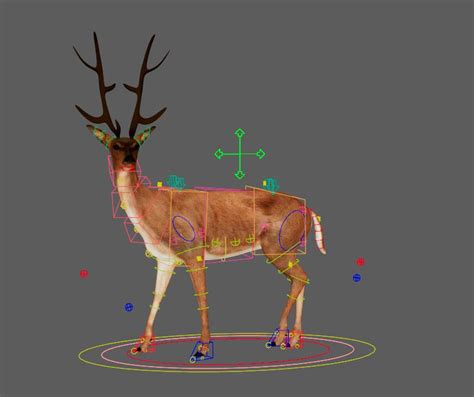 Deerrig001 Animprops