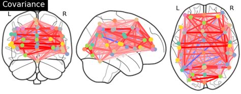 Nilearn Statistical Analysis For Neuroimaging In Python — Machine