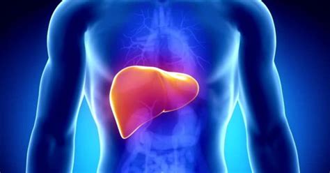 Liver Problem Dos And Donts If You Want To Prevent Liver Illness