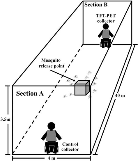 Spatial3 Discover The Best All Natural Mosquito Repellents