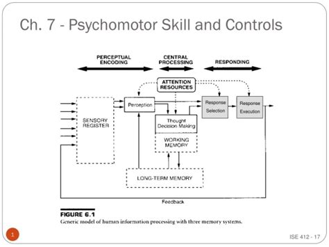 Ppt Psychomotor Skills Powerpoint Presentation Free Download Id Ppt Psychomotor Skills Powerpoint Presentation Free Download Id