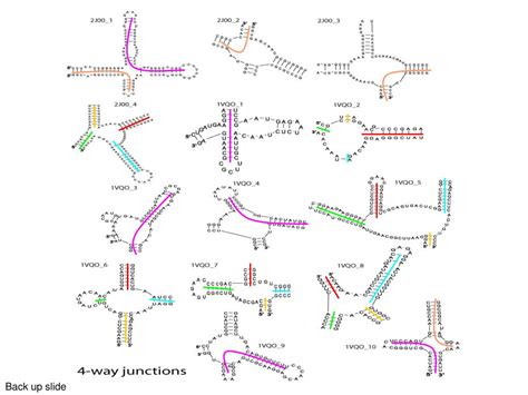 Ppt Towards Rna Structure Prediction 3d Motif Prediction And