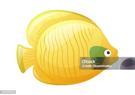 열대 노란 바다 나비 물고기입니다 벡터 고립 만화 해양 생물입니다 귀여운에 대한 스톡 벡터 아트 및 기타 이미지 귀여운