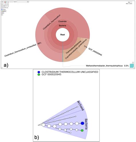 Visualization Of Taxonomy Output A The Krona Output Provides
