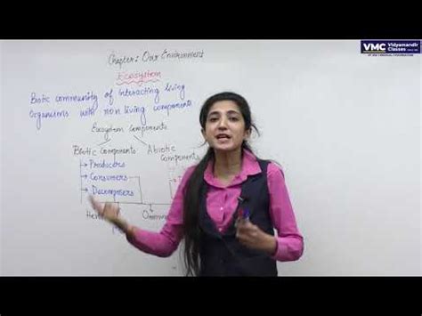 VMC Online Experience Classroom Online Vidyamandir Classes