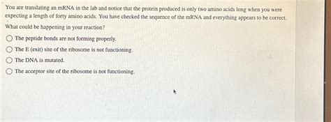 Solved You Are Translating An Mrna In The Lab And Notice