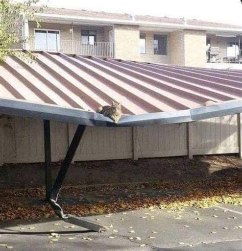 Eu Jene Teng Posted On Linkedin