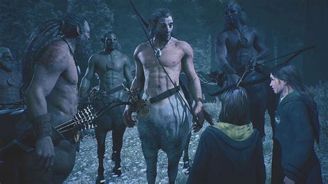 Harry Potter Centaur