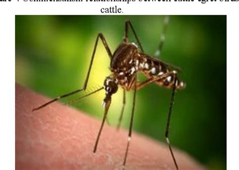 Figure 5 From Design And Implementation Of Novel Sos Algorithm Based