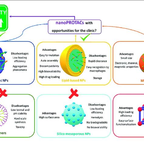 Representation Of Protacs Structure See Inset Red Box Interactors