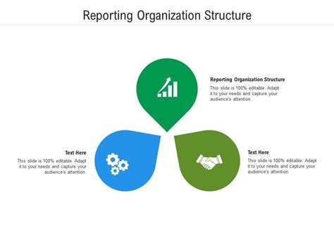 Reporting Organization Structure Ppt Powerpoint Presentation Pictures