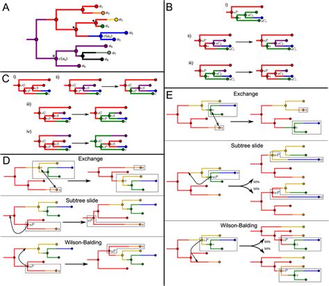 illustrations of partitioned phylogenies and mcmc proposals modifying