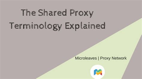 The Shared Proxy Terminology Explained Microleaves
