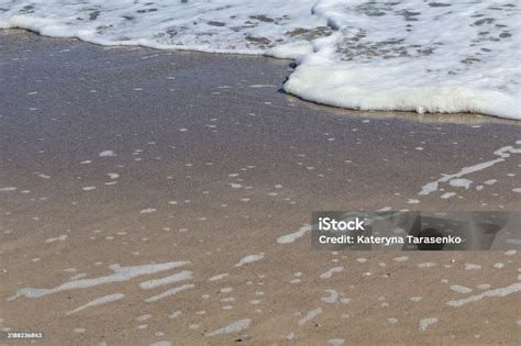 모래 해안선을 가로질러 퍼지는 부드러운 바다 거품을 클로즈업하여 섬세한 패턴을 만들고 물과 모래 사이의 고요한 상호 작용을 만듭니다 이 장면은 파도가 육지와 만나는 덧없는