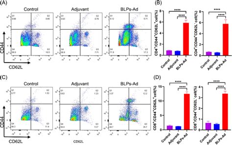 Memory T Cells Analysis Flow Cytometry Analysis Of Mouse Splenocytes Download Scientific