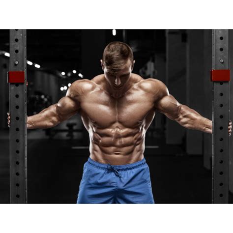 Myostatin Blocker
