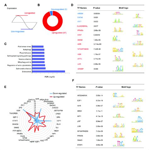Tf Motifs Are Differentially Enriched In Hdac3 Dependent Rhythmic