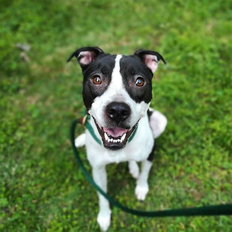 The Power Of Sailor Mars