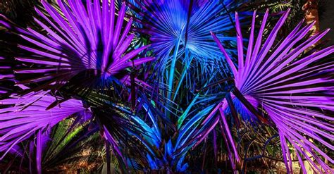 Coastal Source Introduces Ketra Ready Modulus Bullet Light Lutron Electronics