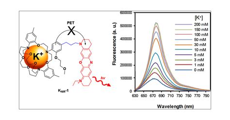 Palladium Mediated Synthesis Of A Near Infrared Fluorescent K Sensor