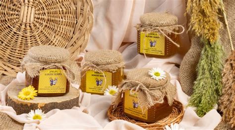 მეფუტკრეობა აპი თერაპია და აგრო და ეკო ტურიზმი გაიცანით მეწარმე საგარეჯოდან Knews Ge