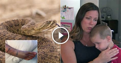 Pregnant Mom Risks Her Life By Sucking Rattlesnake Venom Out Of Sons