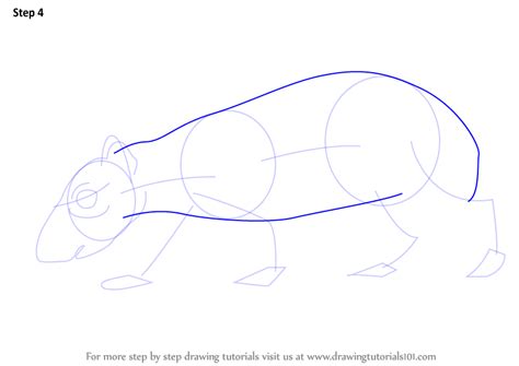 How To Draw A Paca Rodents Step By Step