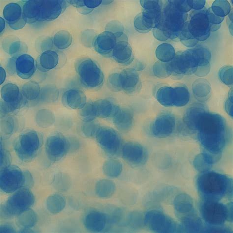 Unlocking Yeast Cell Potential In Biotechnology The Role Of