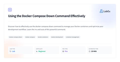 Using The Docker Compose Down Command Effectively Labex