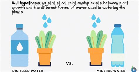 Hypothesis Types StudiousGuy