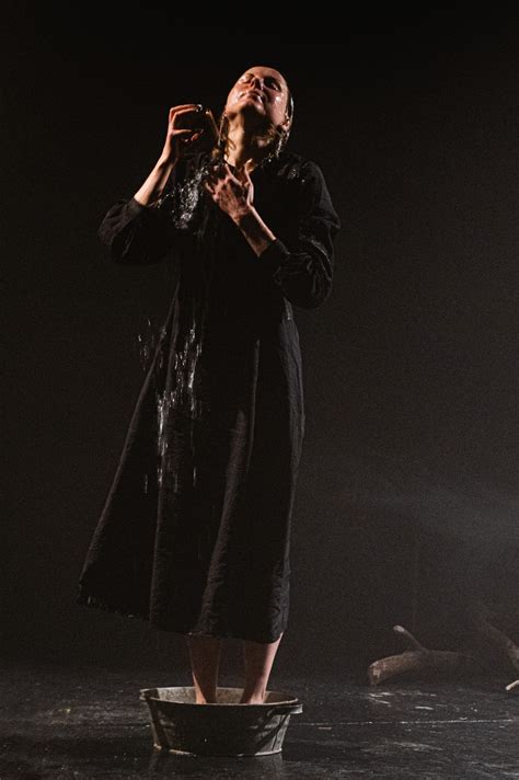 Satori Gaisma Acs Tīklenē