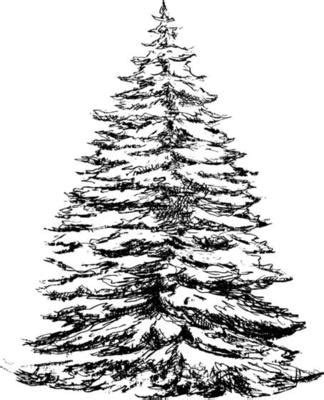 Tree Canopy Vector Art Icons And Graphics For Free Download