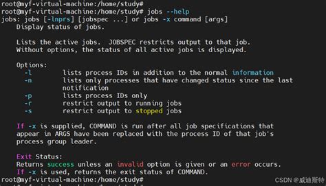 Linux命令：用于管理和查看当前 Shell 会话中的后台和前台任务jobs什么命令可以看shell脚本的前台 Csdn博客