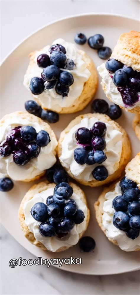 Blueberry Shortcake Recipe