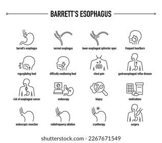 Barretts Esophagus Symptoms Diagnostic Treatment Vector Stock Vector