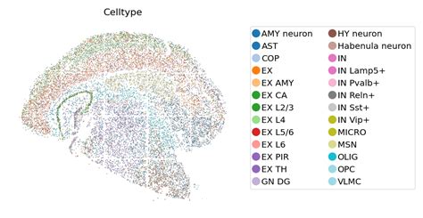 2 Combined Visualization Of Domains And Segmented Cells Spateo Documentation