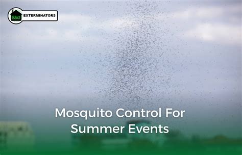 Mosquito Control For Summer Events Eandg Exterminators