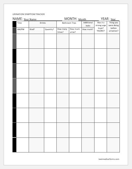 Urination Symptom Tracker Pdf Ms Word Download