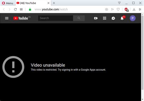 YouTube And Google Safe Search LucidView