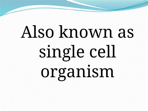Prokaryotic Vs Eukaryotic Cells And Cell Types Pptx