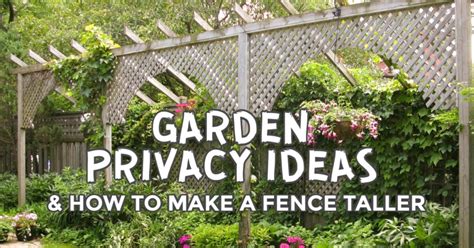 How To Make A Fence Taller For Better Privacy Empress Of Dirt