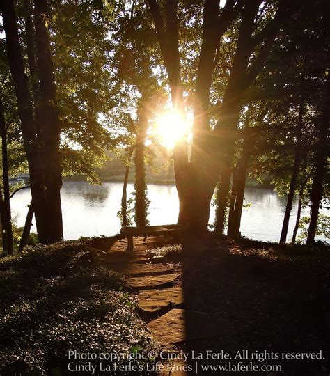 Morning people | Cindy La Ferle's Life Lines
