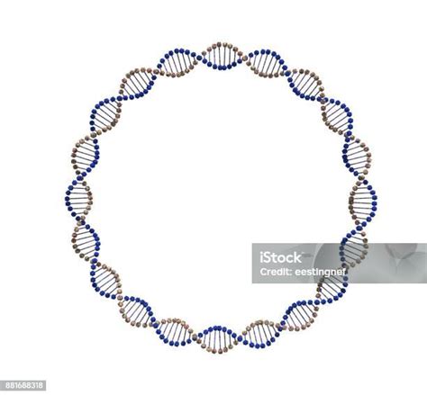 추상 Dna 용수철 형입니다 흰색 배경에 고립 3d 렌더링 그림입니다 0명에 대한 스톡 사진 및 기타 이미지 0명 Dna