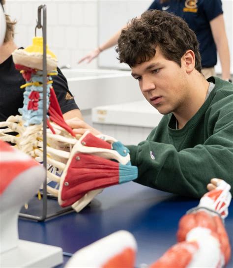 Kinesiology Uw Eau Claire