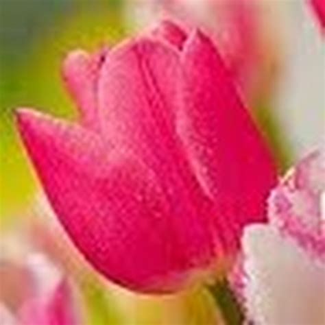 Brooke Mccann Youtube