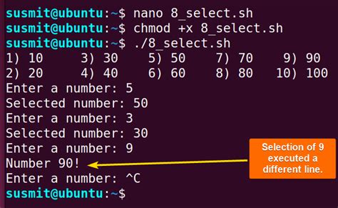 How To Use Bash Continue With For” Loop 9 Examples Linuxsimply
